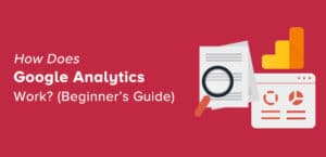 Beginner's Guide to Google Analytics: How Does it Work?