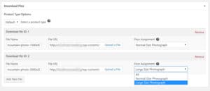 How to Sell Digital Downloads in WordPress (Step by Step Guide)