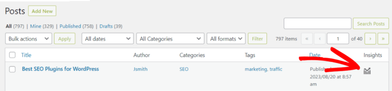 How to See Your WordPress Site Stats and Page Views (2025)