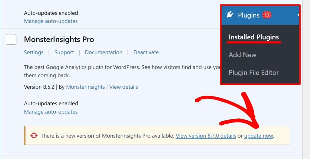 How to Find Your MonsterInsights Version - MonsterInsights