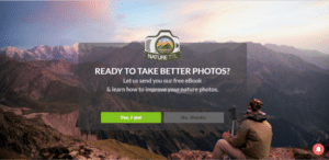 How to Write Welcome Messages for a Website (+ 9 Examples)