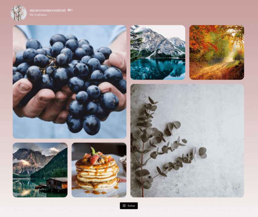 How to Create a WordPress Instagram Feed (Easily)