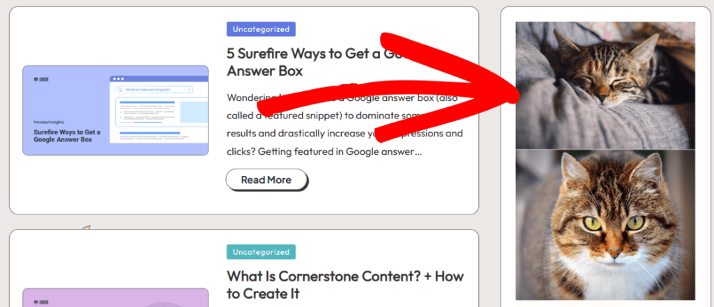 WordPress Widgets Beginner's Guide: 16 Best Widgets (2025)