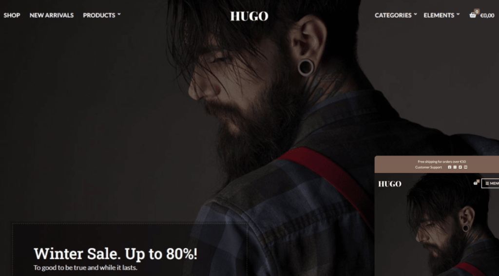 15 Top WordPress eCommerce Themes (Ranked)